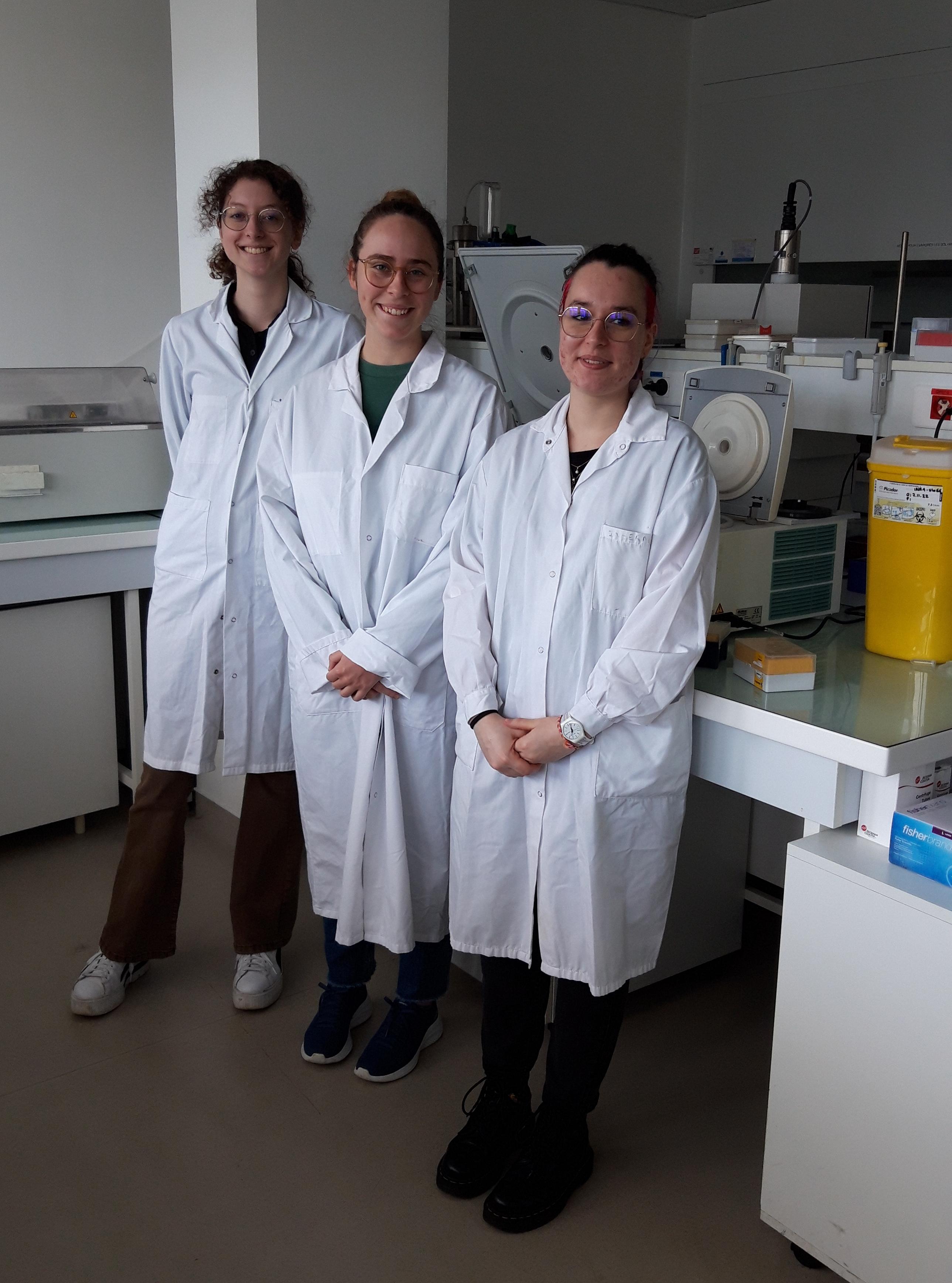 Index - University of Angers